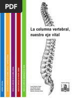 Ejercicios de Rotación de Tronco | PDF | La columna vertebral | Sistema ...