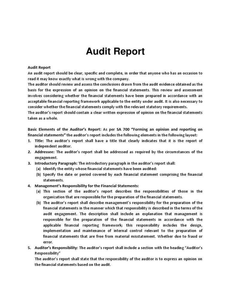 Audit Report | PDF | Auditor's Report | Financial Audit