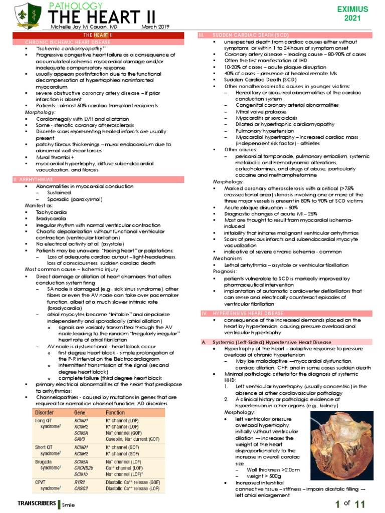 Understanding the Pathology of Chronic Ischemic Heart Disease ...