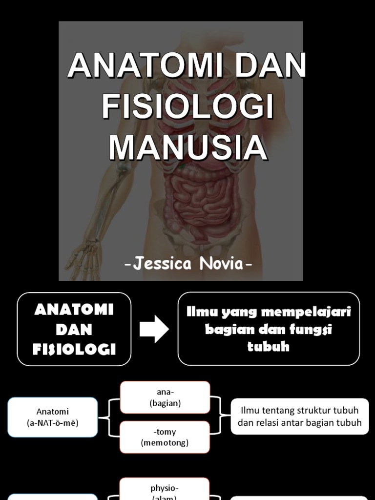 Pengantar Anatomi Dan Fisiologi Manusia | PDF | Kesehatan Holistik