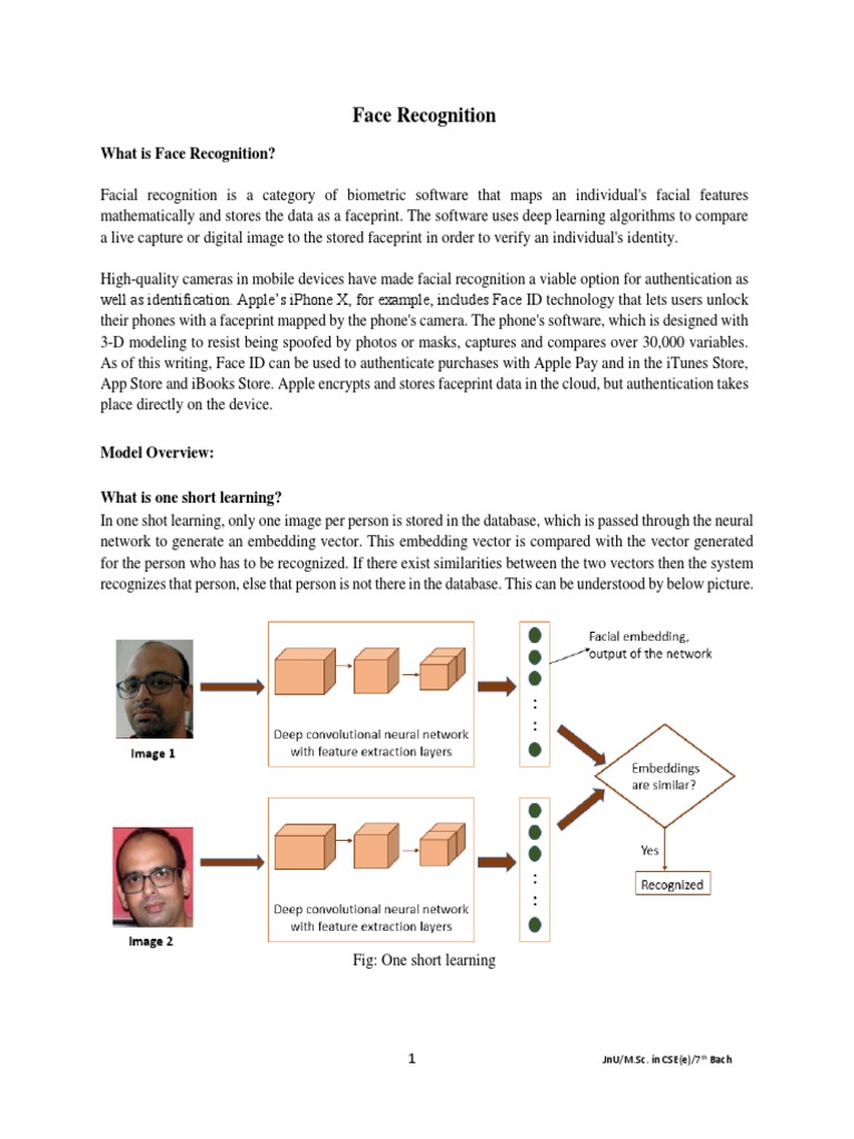 Neural Network | PDF | Areas Of Computer Science | Cybernetics