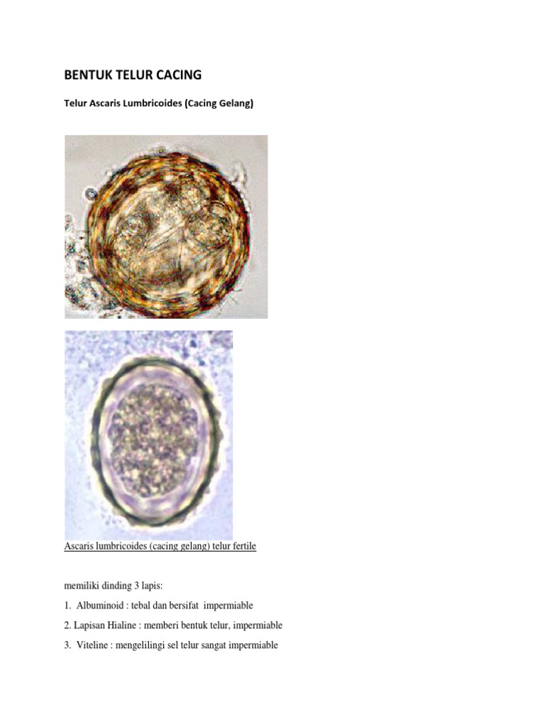Bentuk Telur Cacing | PDF