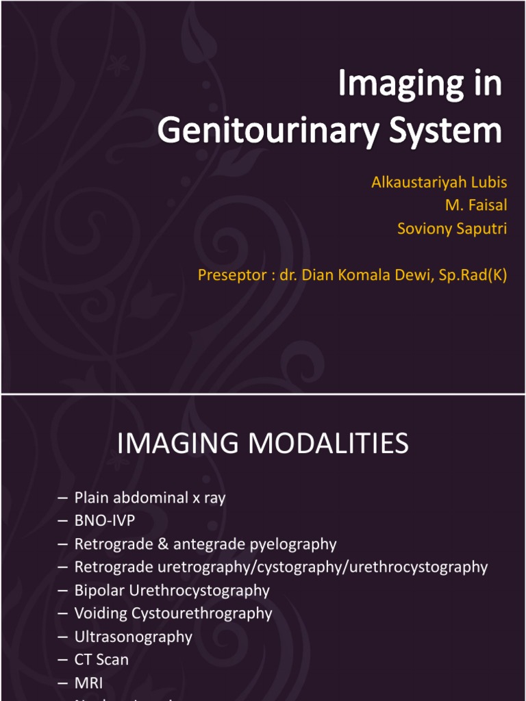 Imaging in Genitourinary System | PDF | Kidney | Urinary Bladder