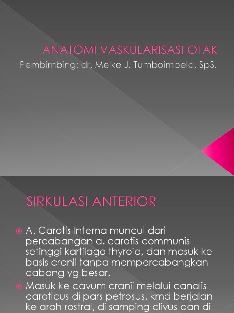Anatomi Vaskularisasi Otak | PDF