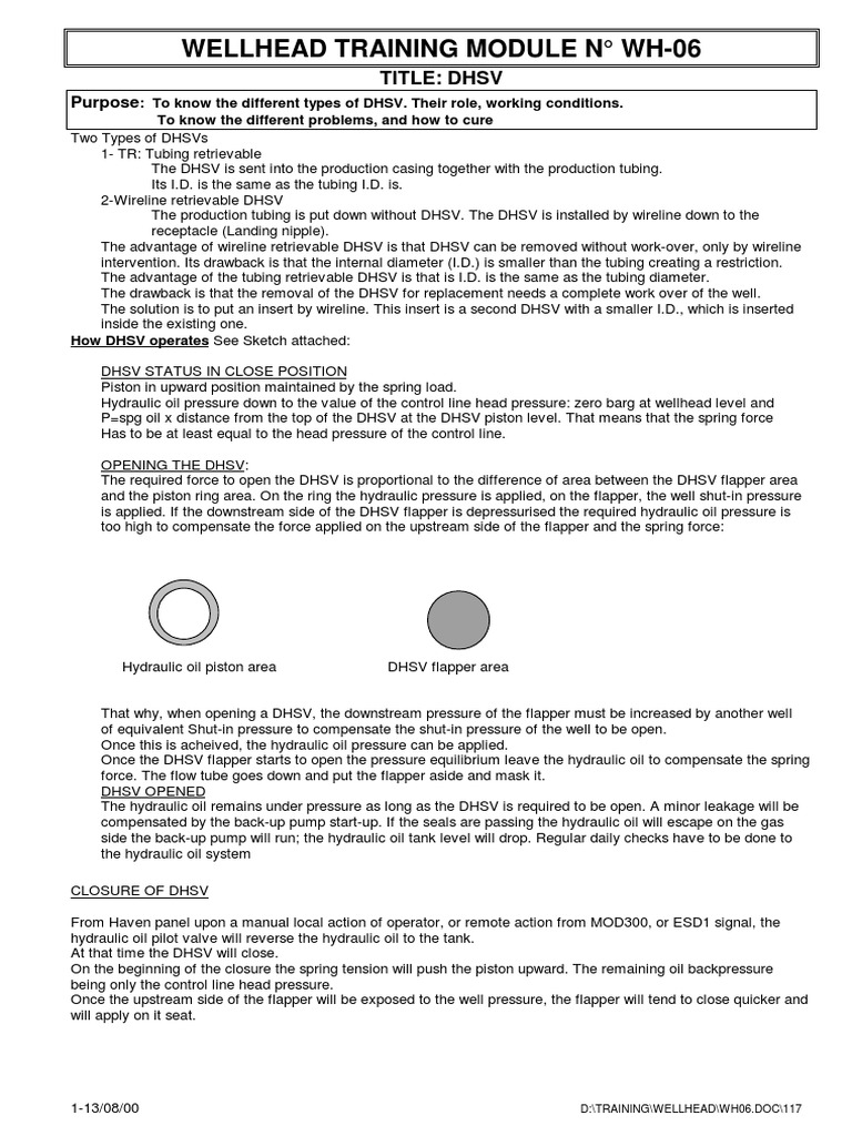 06W DHSV | PDF | Valve | Pump