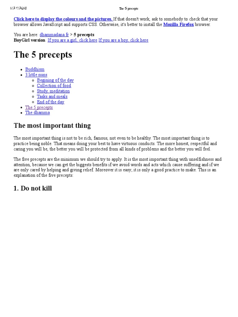 The 5 Precepts: The Most Important Thing | PDF