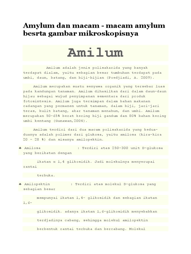 Amylum dan Jenis-Jenisnya: Studi Kasus Pati Beras, Gandum, dan Jagung | PDF