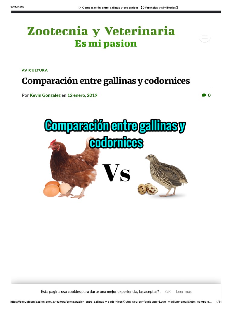 Diferencias entre gallinas y codornices | PDF | Pollo | Huevo como alimento