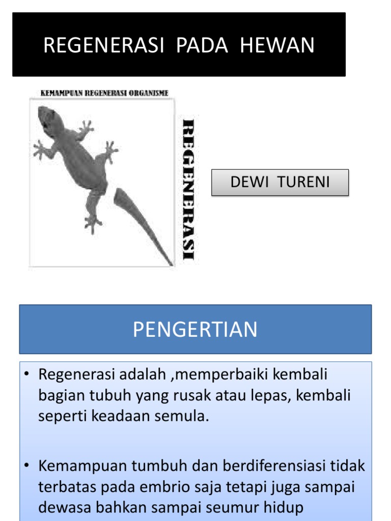Regenerasi Pada Hewan | PDF
