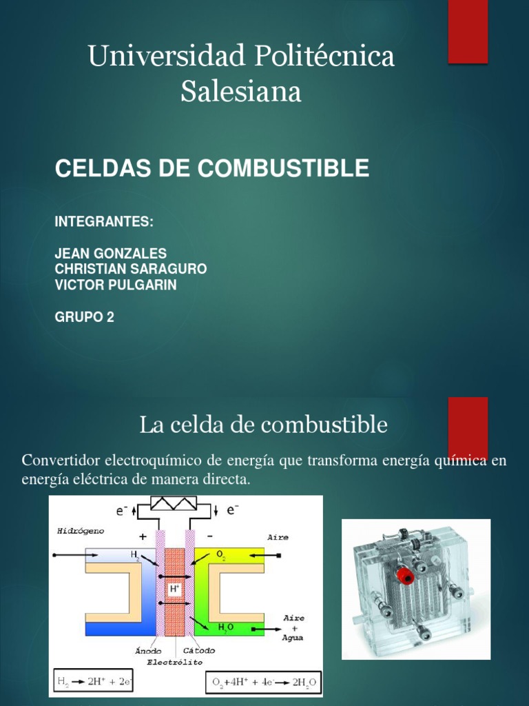 Celdas de Energia | PDF | Pila de combustible | Celda de combustible de ...
