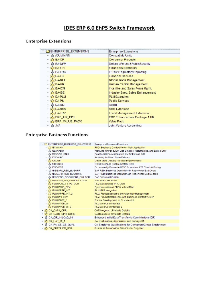 IDES ERP 6.0 EhP5 Switch Framework Guide | PDF | Business | Computers