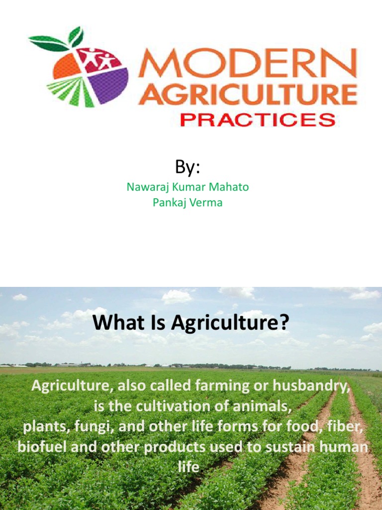 Traditional vs Modern Agriculture Overview | PDF | Intensive Farming ...