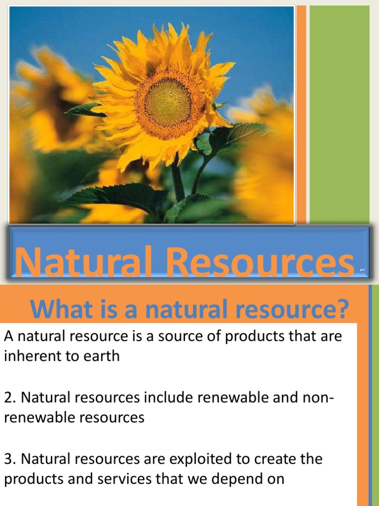 Discover Natural Resources | PDF