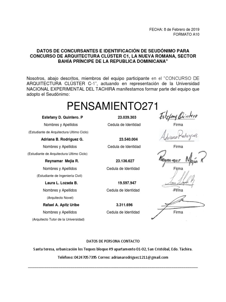 Formato A8 - Carta Datos Del Grupo y Seudonimo | PDF