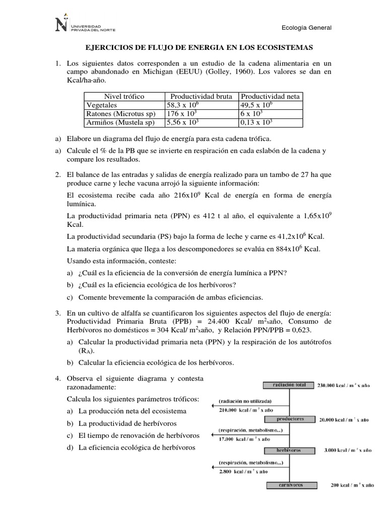 Ejercicios sobre flujo de energía en ecosistemas | PDF | Ecología ...