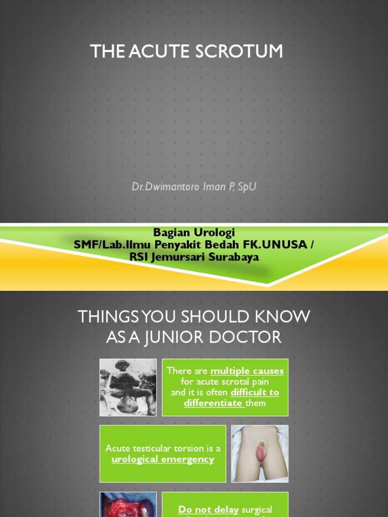 Acute Scrotum DR Dwi | PDF | Genitourinary System Diseases | Health ...