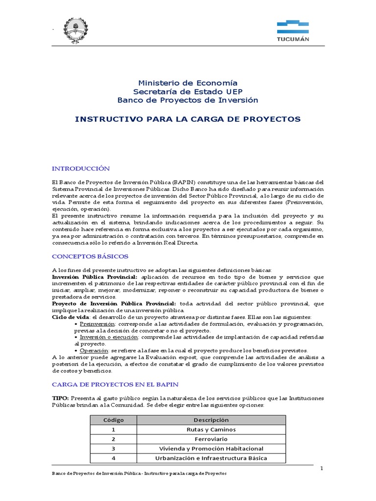 Instructivo de Carga BAPIN | PDF | Inversiones | Vida