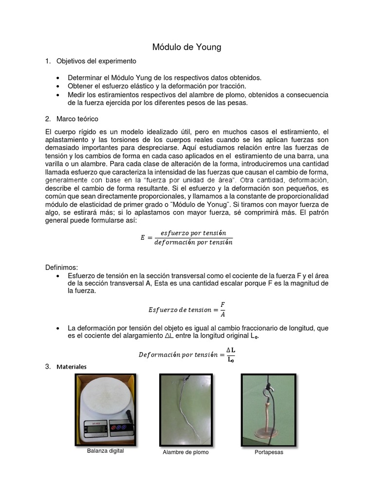 1.-Módulo de Young.docx | El módulo de Young | Elasticidad (Física)