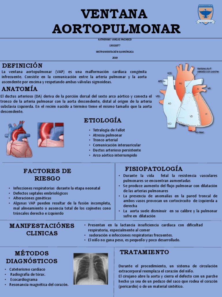 Poster | PDF | Aorta | Corazón