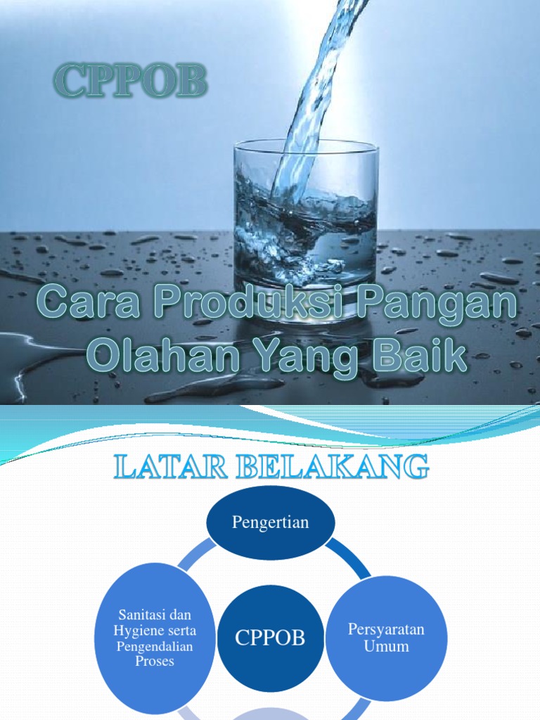 Materi Pelatihan CPPOB 2019 | PDF
