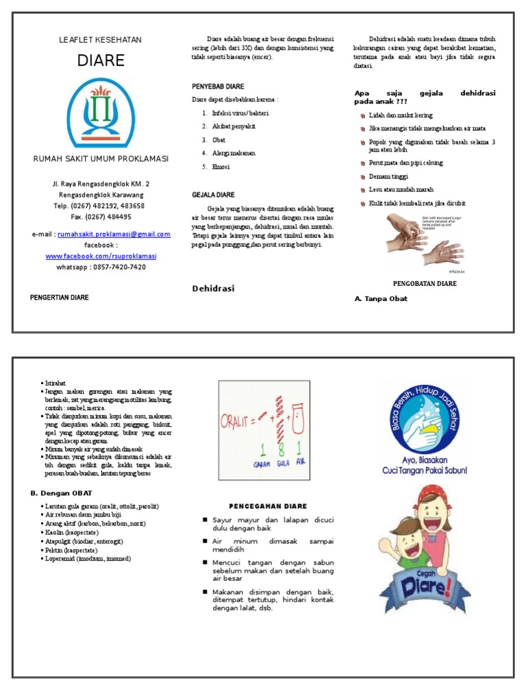 Leaflet DIARE | PDF | Kesehatan Holistik