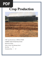 Agricultural Science Sba On Broiler | PDF | Chicken | Poultry Farming