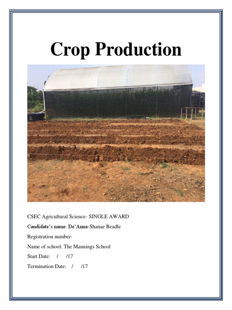 Organic vs Inorganic Crop Production | PDF | Organic Farming | Tillage
