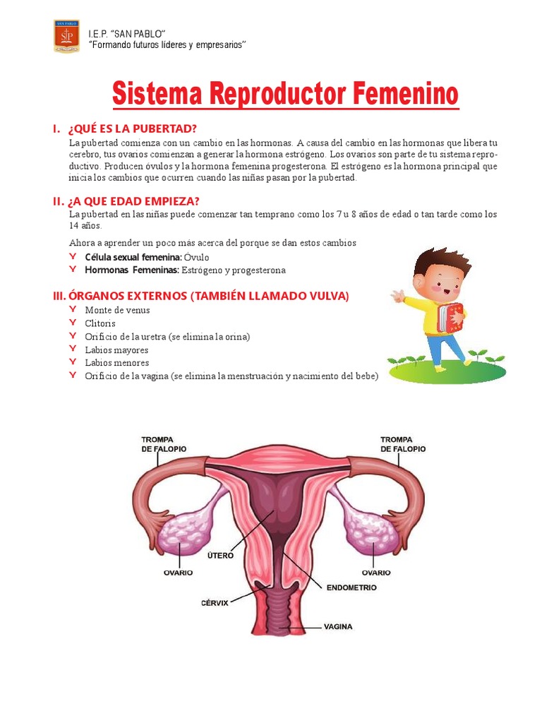 Aparato Reproductor Femenino | PDF | Vagina | Sistema reproductivo