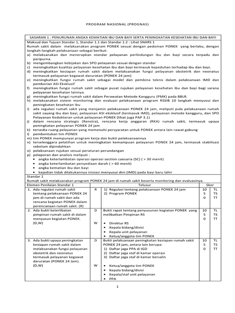 Program Nasional PDF | PDF