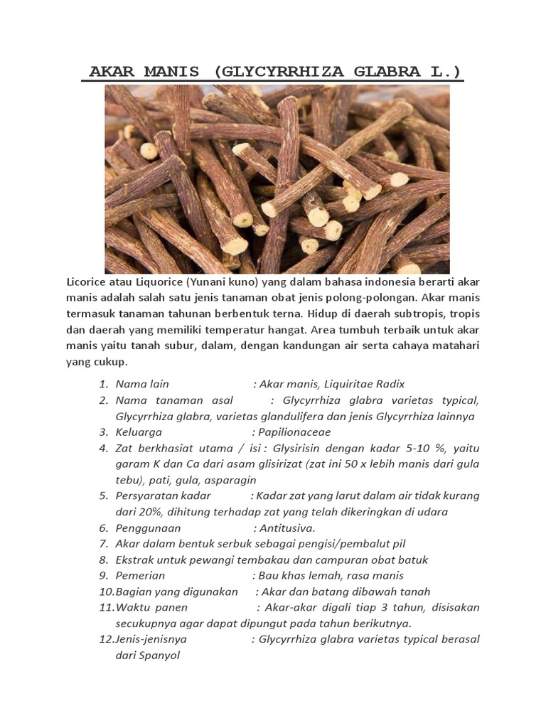 Artikel Akar Manis Farmakognosi | PDF