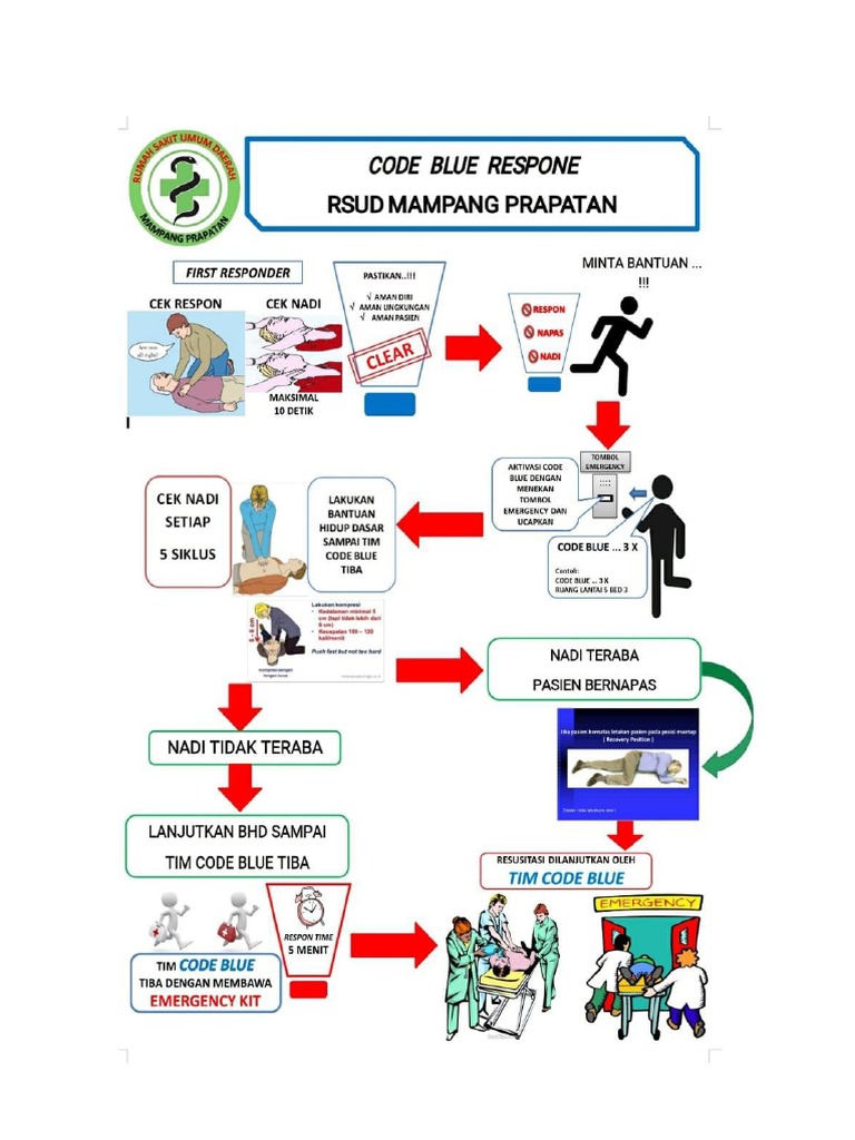 Alur Code Blue | PDF