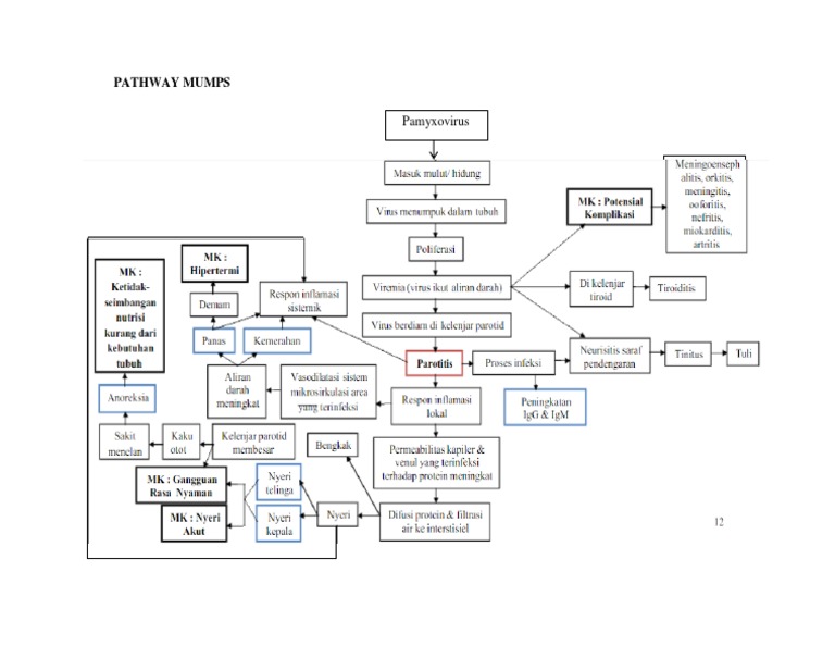 Pathway Mumps | PDF