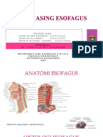 Gans Sensory Organization Performance (SOP) Test | PDF | Vertigo ...