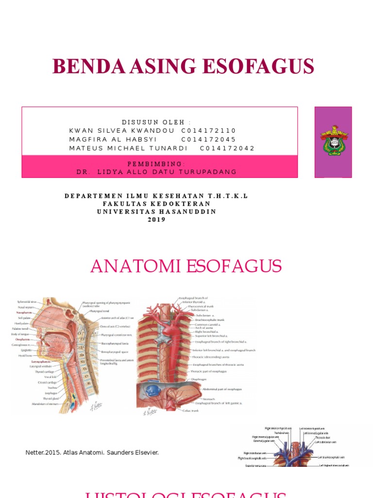 Benda Asing Esofagus | PDF | Gastroenterology | Medicine