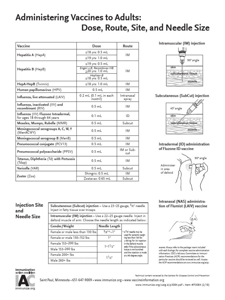 Administering Vaccines To Adults: Dose, Route, Site, and Needle Size ...