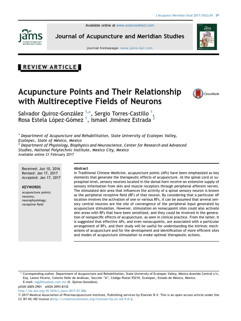 Acupuncture Points and Neuronal Fields | PDF | Somatosensory System ...