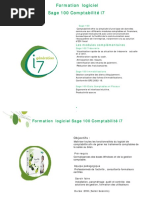 Guide Sage 100 Comptabilité i7 | PDF | Comptabilité | Budget