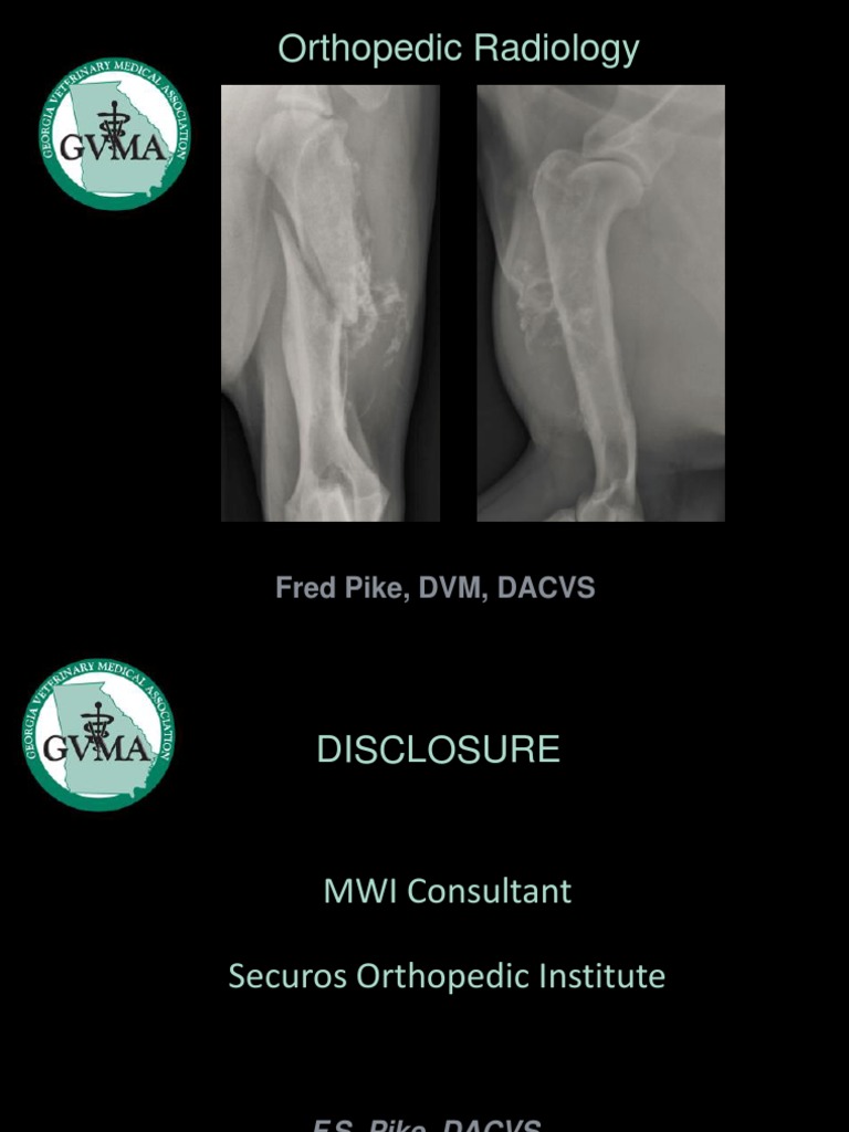 Orthopedic Radiology Seth Mathus Ganz, DVM Surgery PDF | PDF ...