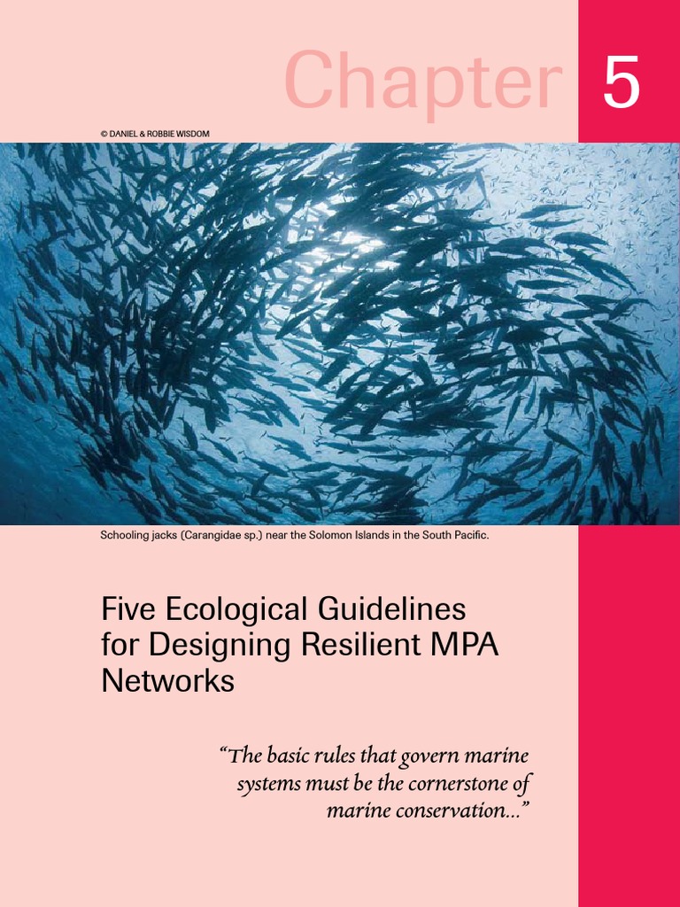 Chapter 5 | PDF | Ecological Resilience | Coral Reef