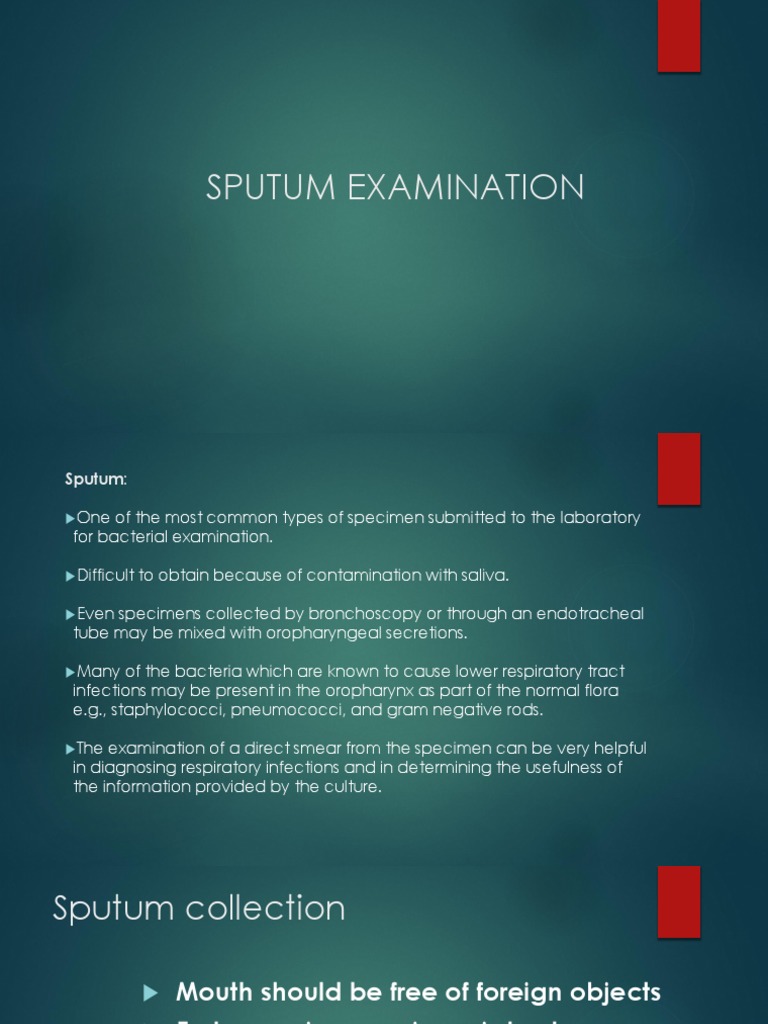 A Comprehensive Guide to Sputum Examination: Collection, Analysis ...