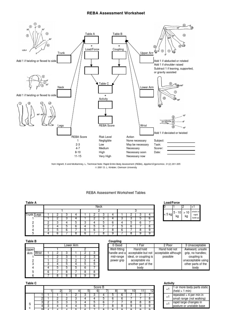REBA Assessment Worksheet | PDF | Anatomical Terms Of Motion