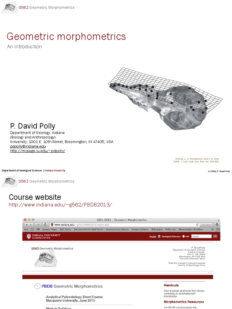 Introduction To Geometric Morphometrics | PDF | Morphometrics ...