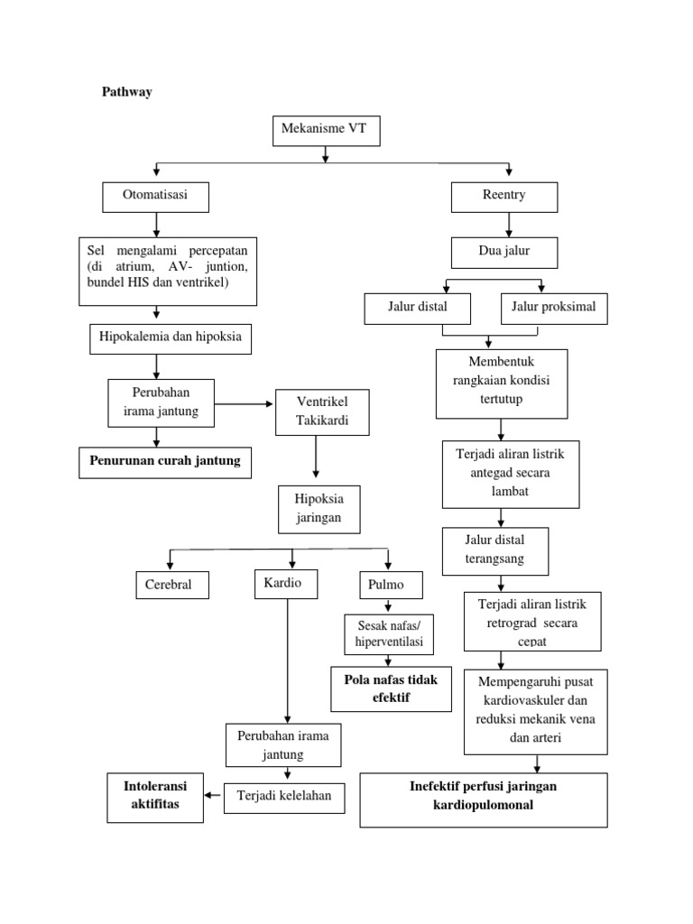 Pathway SVT | PDF