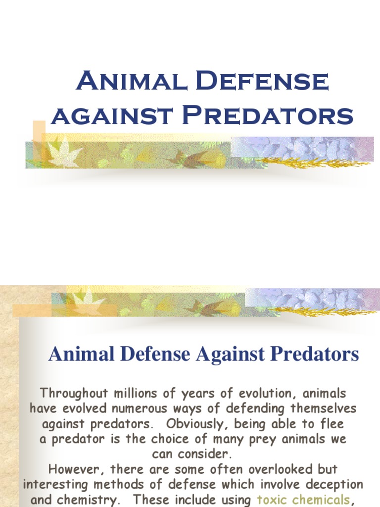 Animal Defenses | PDF | Predation | Camouflage