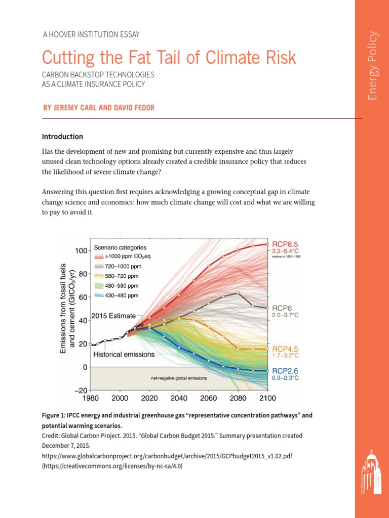 Cutting The Fat Tail of Climate Risk: Carbon Backstop Technologies As A ...