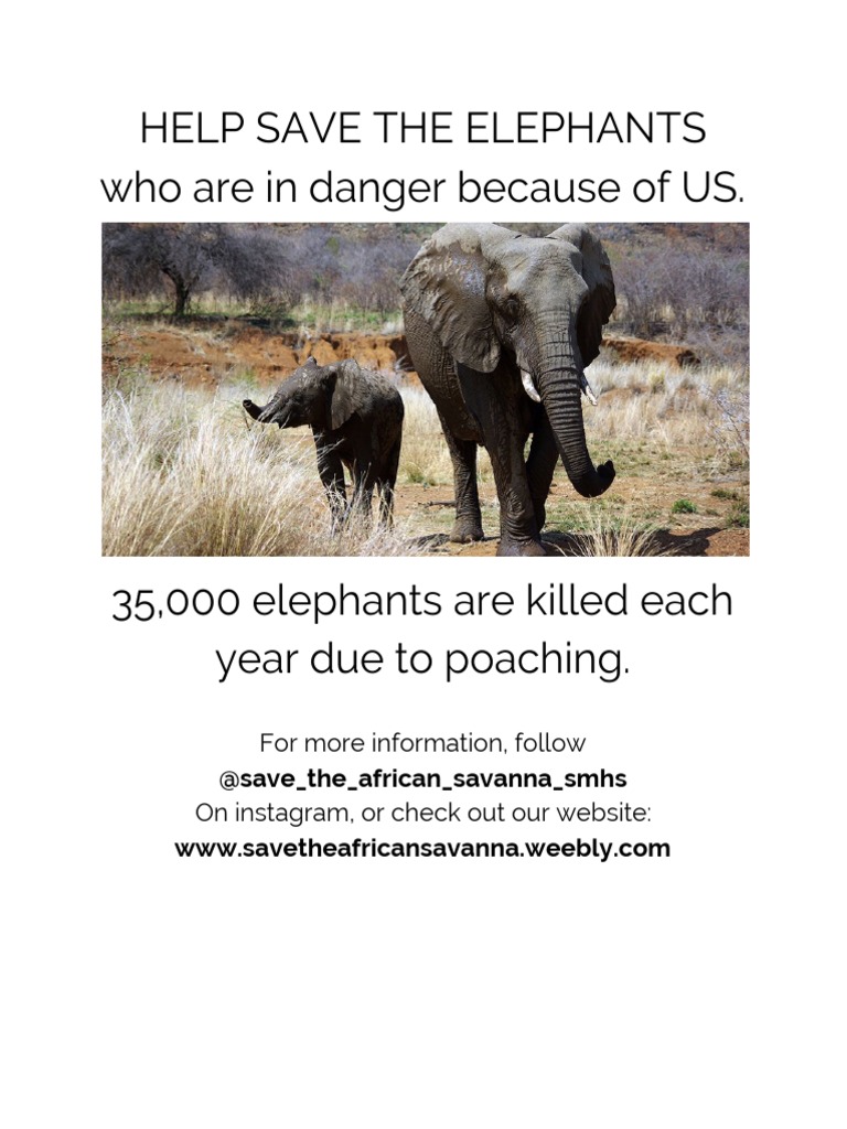 Ecology Poster | PDF | Technology & Engineering