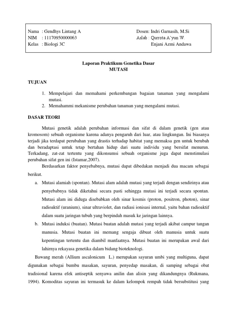 Laporan Mutasi | PDF