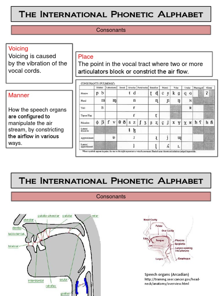 Ipa (International Phonetic Alphabet | PDF