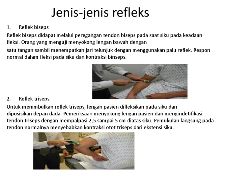 Jenis-Jenis Refleks 1 | PDF
