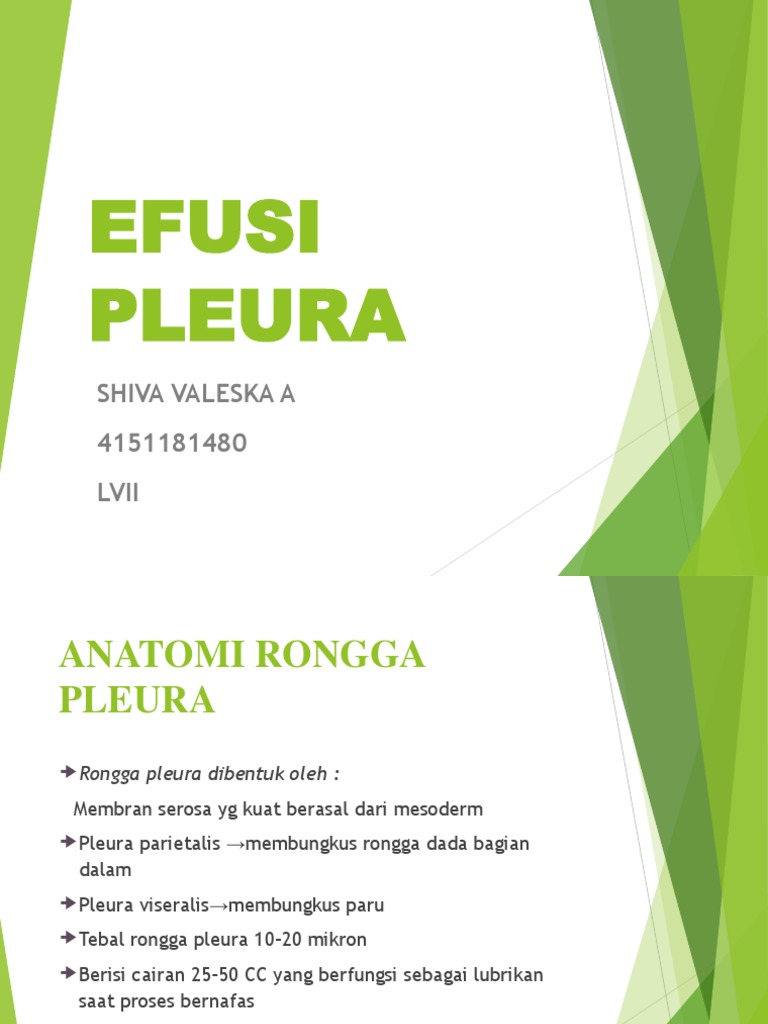Efusi Pleura - Shiva Valeska | PDF